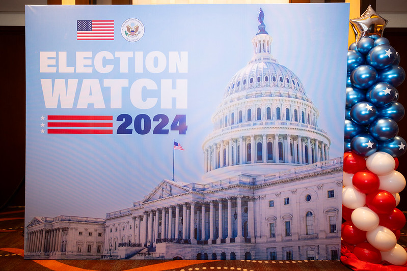 Why Many Registered Voters Did Not Vote in the 2024 US Elections